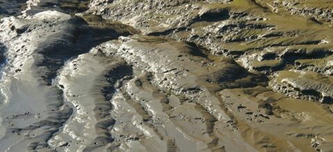 The Different Types of Sludge - Slurry Pumping and Dredge Consulting